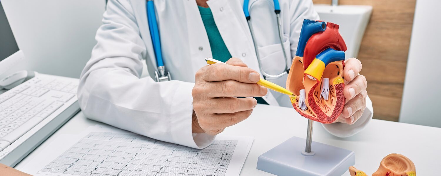 Cardiology - Sancta Maria